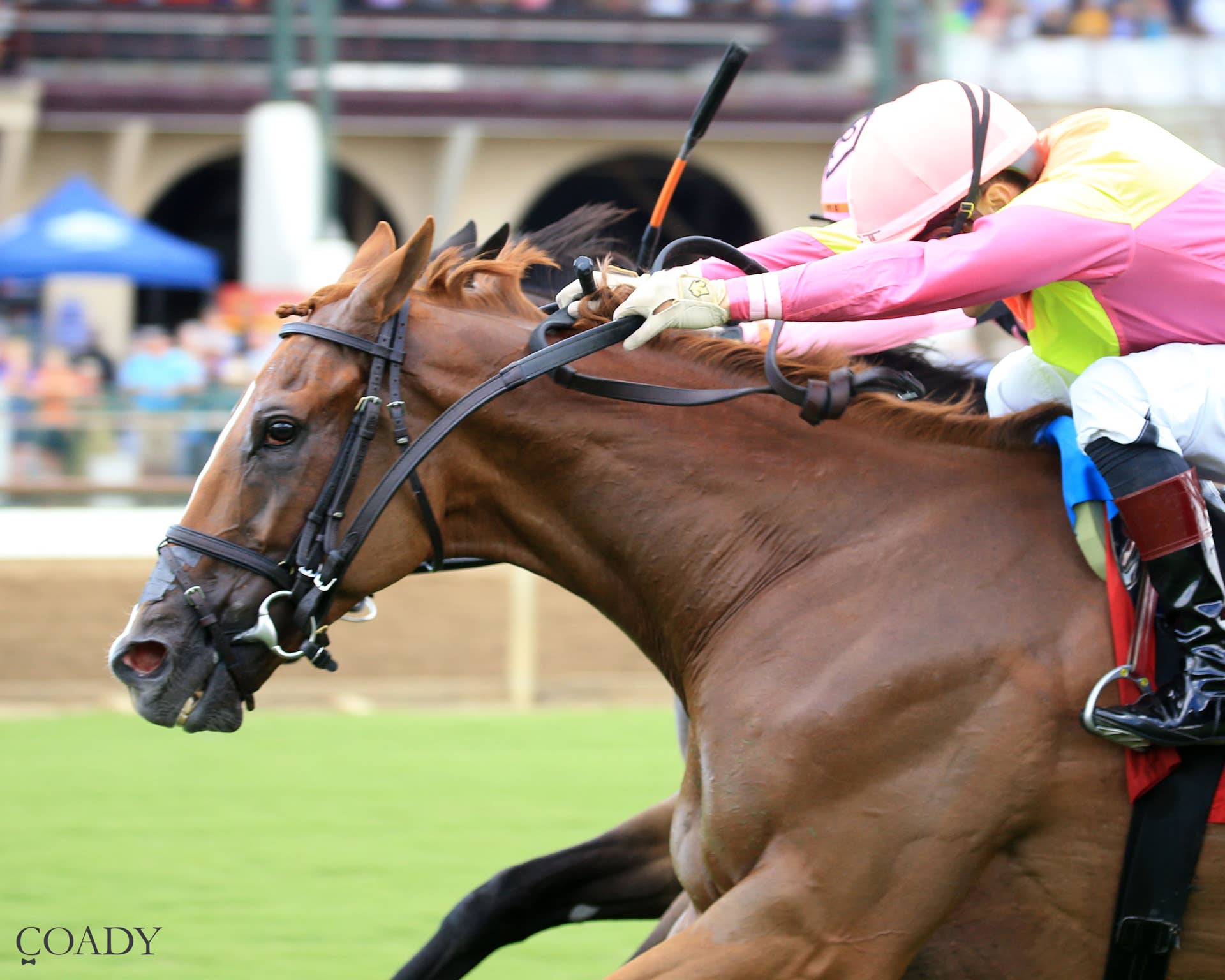 Highway Robber Lands Second Straight Ky Downs Preview Turf Cup ...