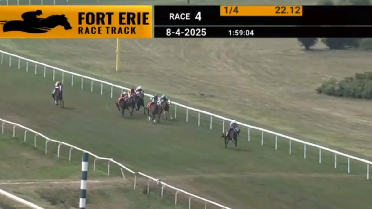 Kirk Johnson - Paulick Report | Latest news and commentary from the ...