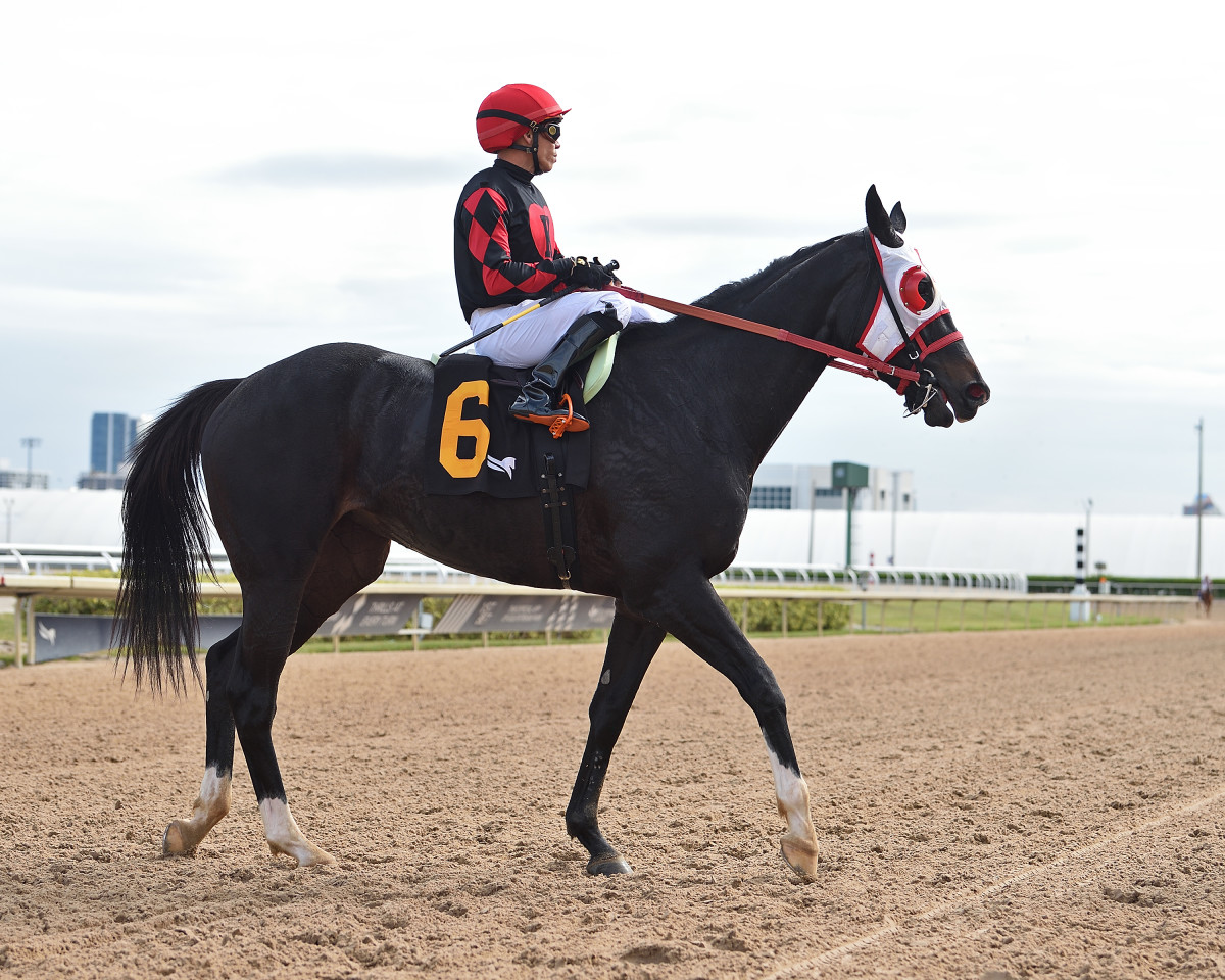 ‘She Just Began To Trust Us’: Trainer Sal Santoro’s Patience Turned ...