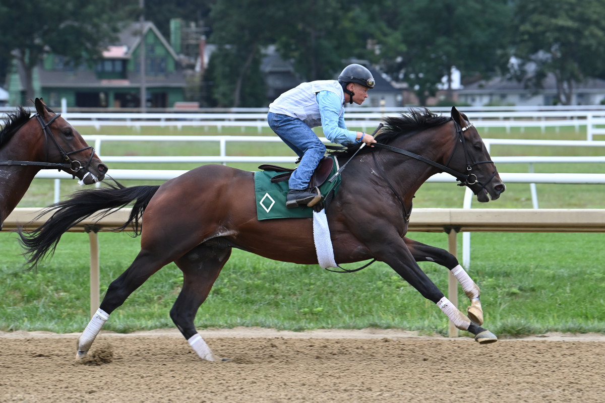 'Should Be Ready': Sovereignty Puts Finishing Touches On Travers ...