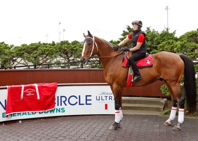 WA-Bred Wasserman, Trainer Mark Glatt Inducted Into Washington Hall Of ...
