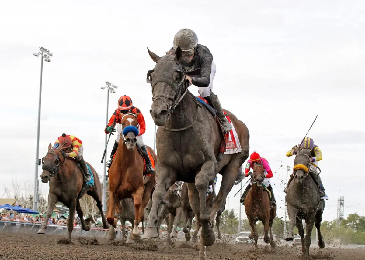 California Shipper Arrowthegreat Proves Best In 90th Longacres Mile ...