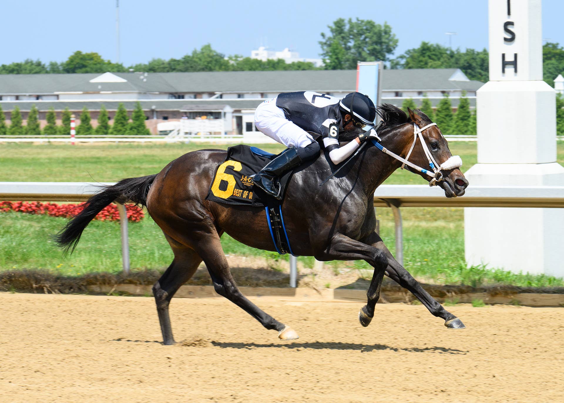 ‘She’s Like Superman’: Ohio-Bred Filly Silent Rule Now 10 For 10 After ...
