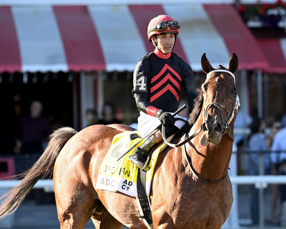 'He's A Great Big Horse': Graded-Placed Iron Dome Looms Large In Empire ...