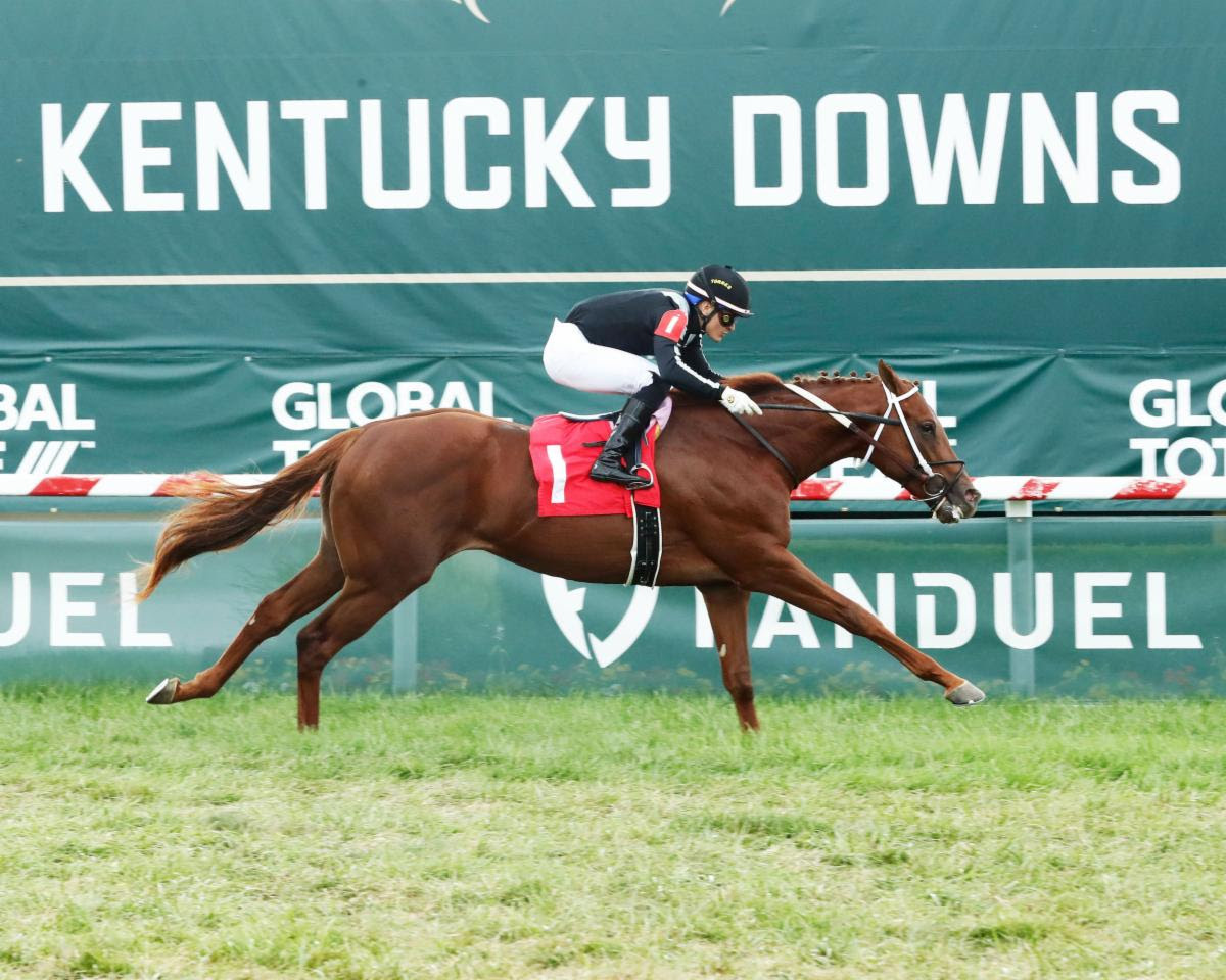 New Starting Gate Allows For 14 Runners In Tapit Stakes At Kentucky ...