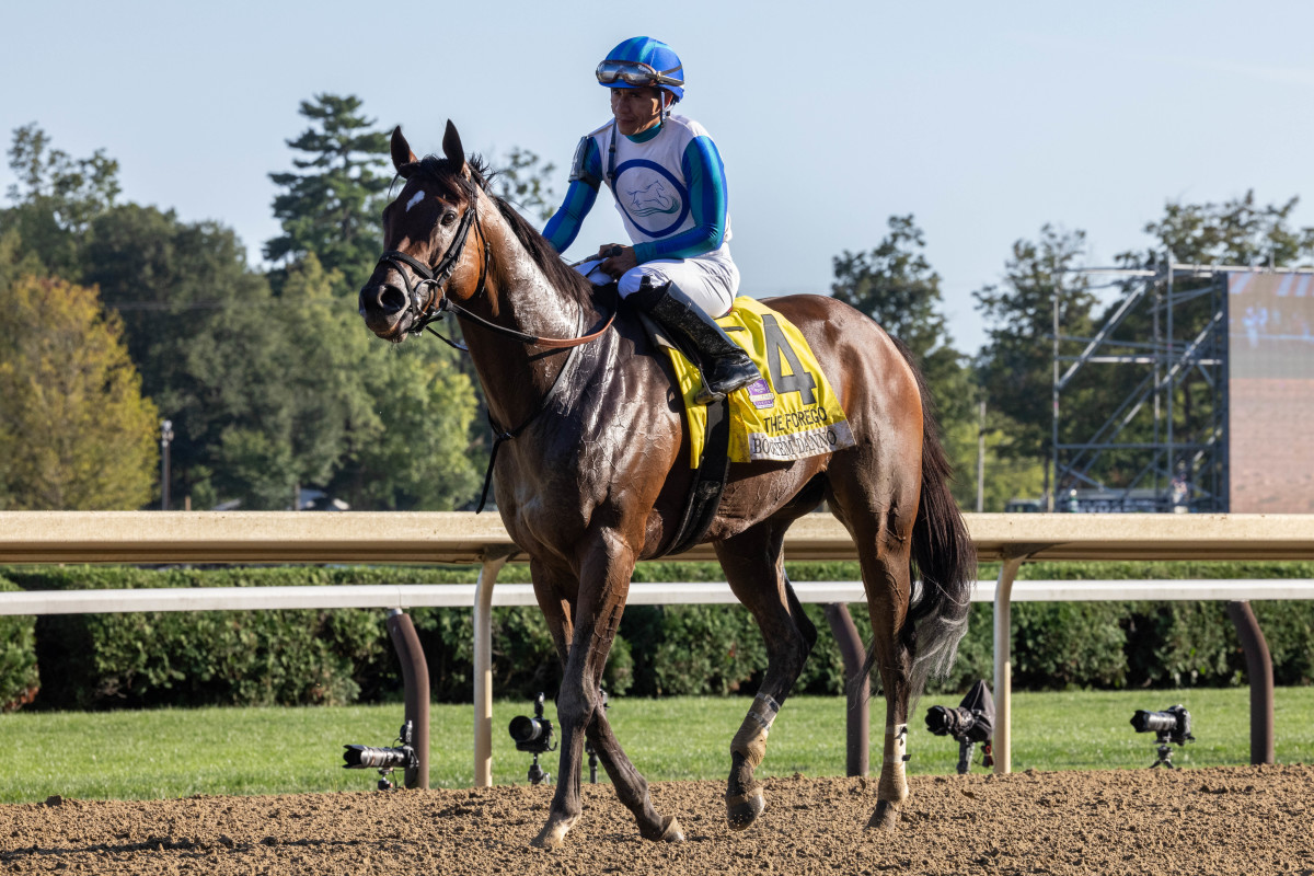 Lots Of Options, But Nothing Set In Stone For Book’em Danno - Paulick ...