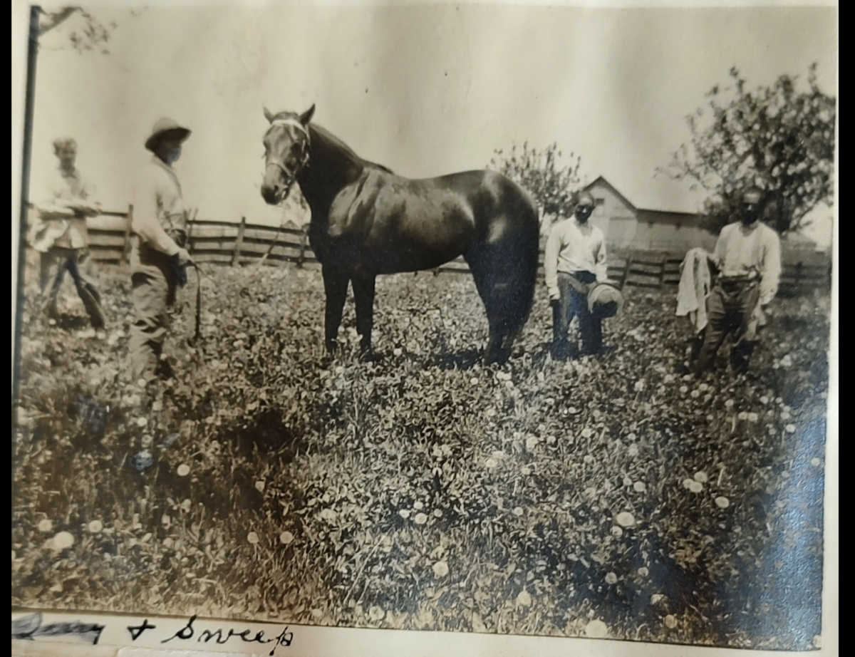 Lest We Forget: A 'Tiny Mite,' Sweep Was A Big Deal On Track And At ...