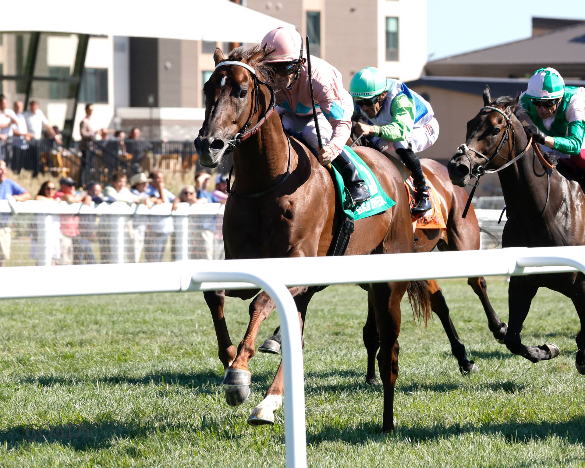 'Value Purchase' Bear River Earns Breeders' Cup Berth At Kentucky Downs ...