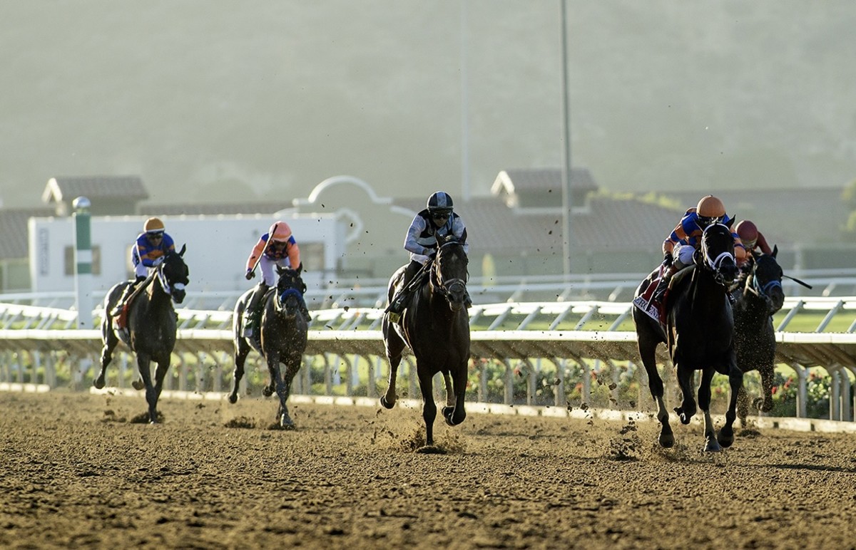 Fierceness Claims Second In NTRA Top Thoroughbred Poll - Paulick Report ...