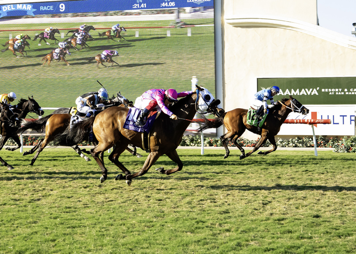 Reef Runner Leads Competitive Eddie D Field - Paulick Report | Latest ...