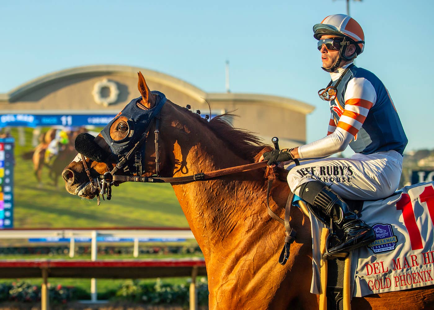 Gold Phoenix Preps For Breeders’ Cup In John Henry Turf Championship ...