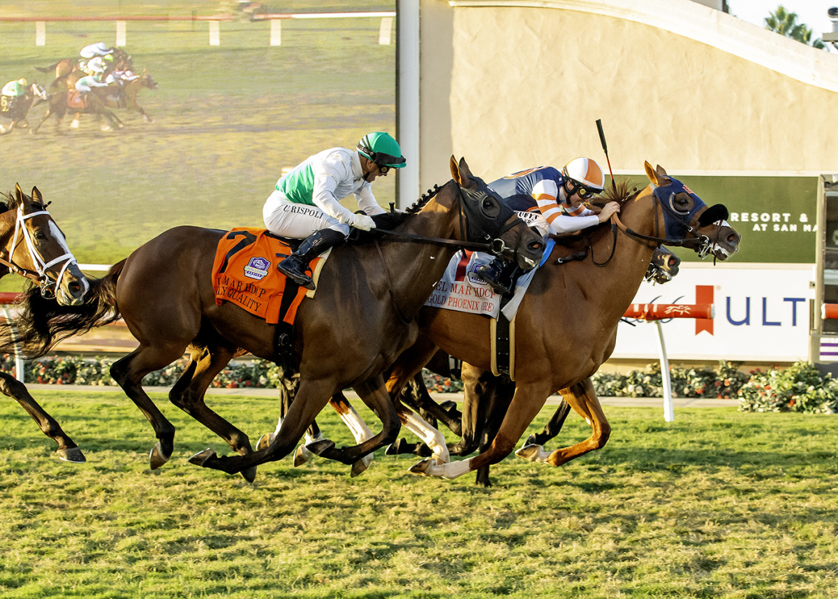 'Epitome Of Fine Wine': Gold Phoenix Wins Del Mar Handicap Fourth Year ...