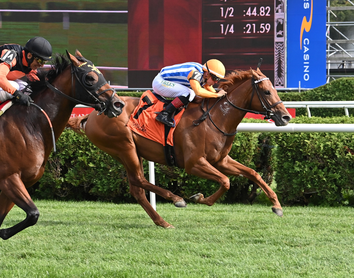 Tom Morley Considering Pair Of Breeders' Cup Qualifiers For Debut ...