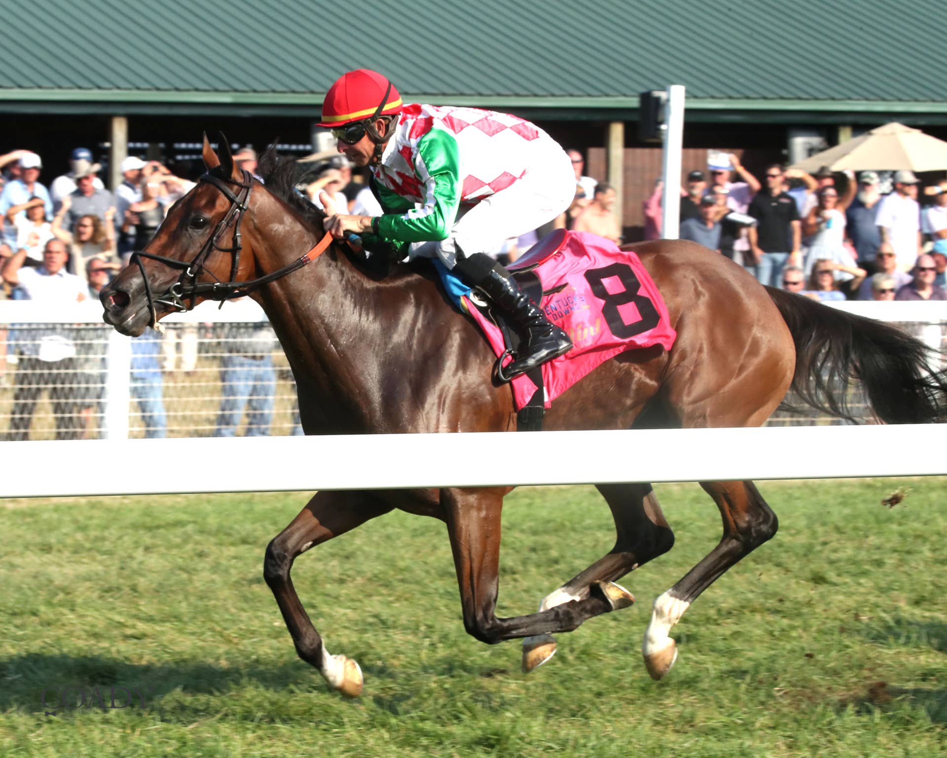 Pharoah's Wine Provides Emotional Victory For Her Connections In One ...
