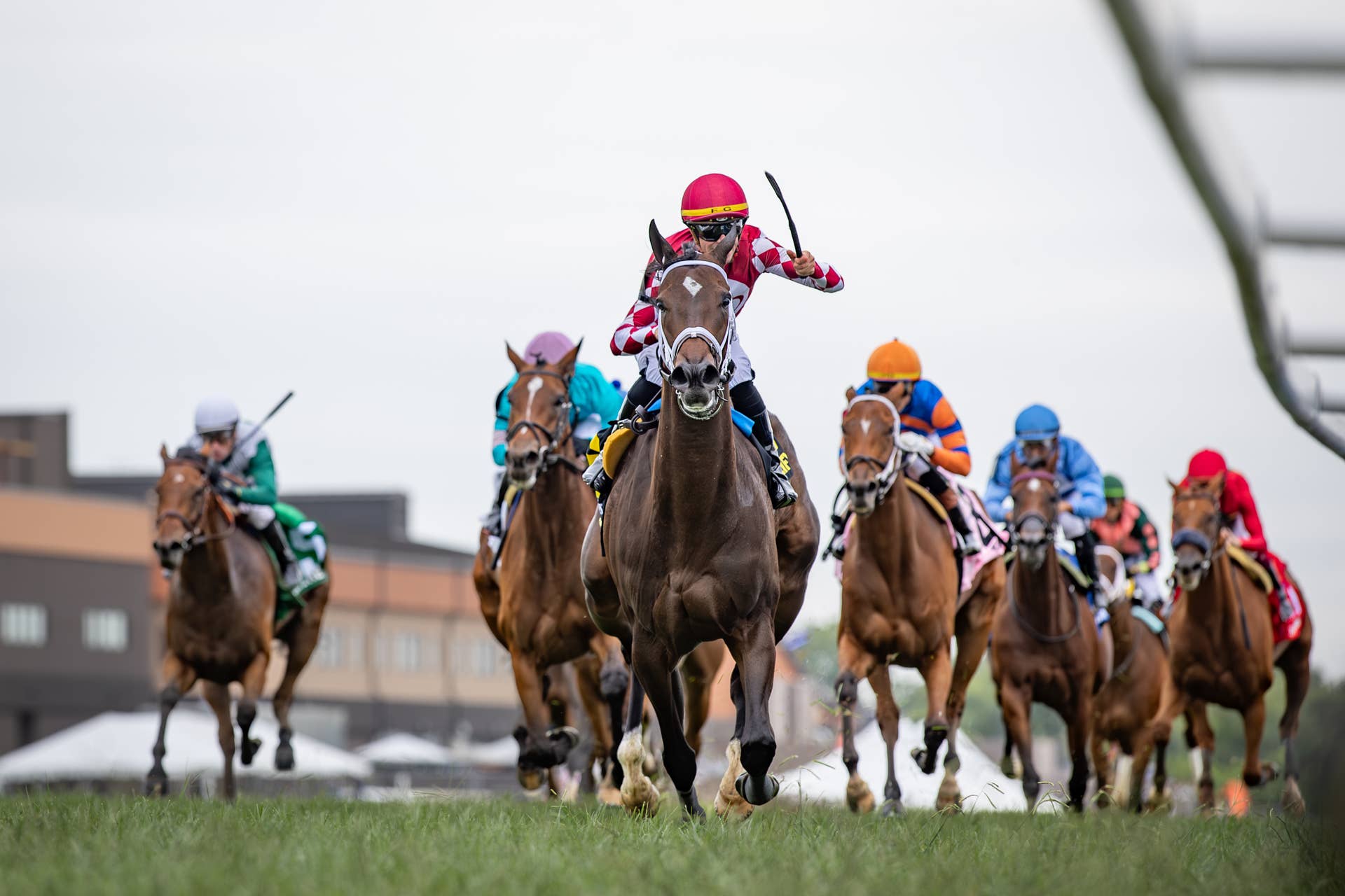 Stellify Scores On Front End In Ladies Marathon At Kentucky Downs ...
