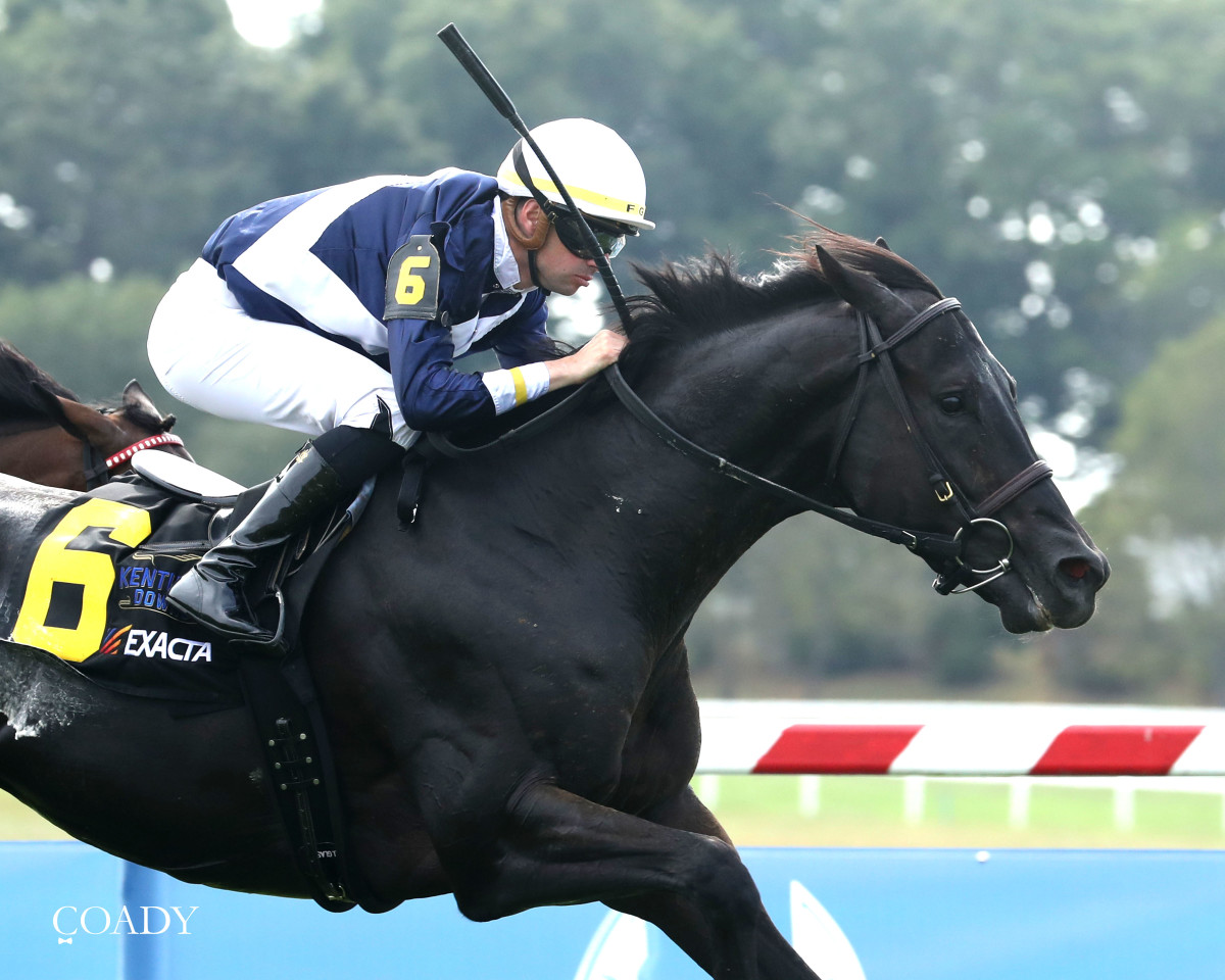 Plensa Pulls 22-1 Surprise In Gun Runner - Paulick Report | Latest news ...