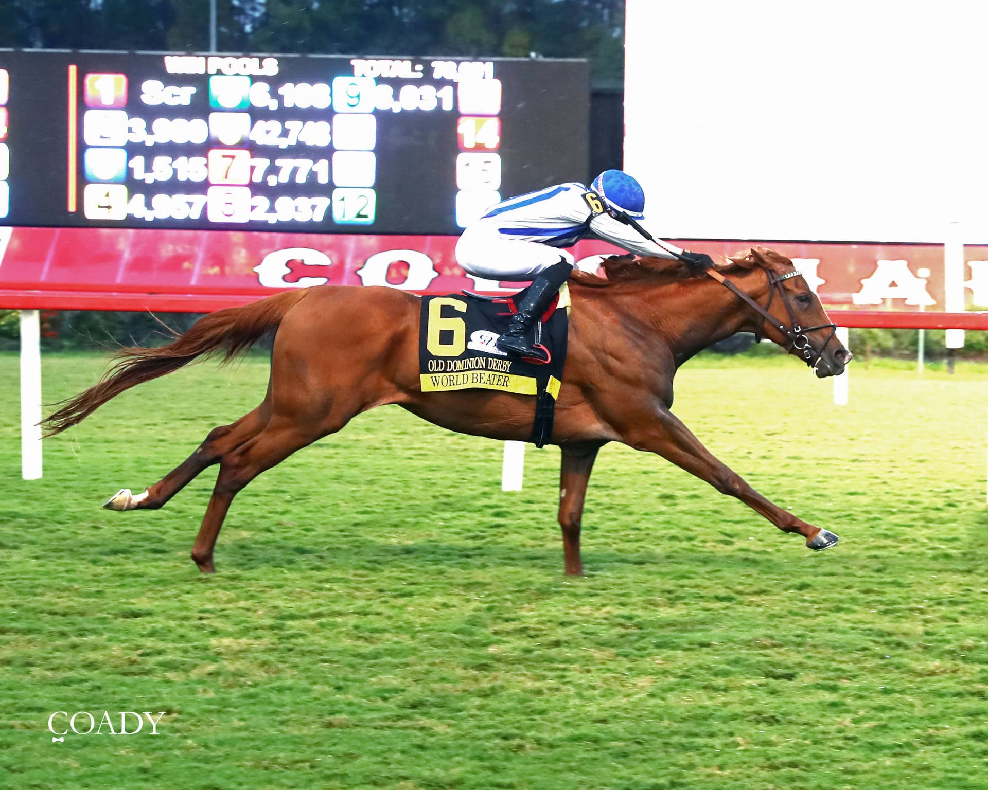 Newly Minted Millionaire World Beater Shines In Old Dominion Derby ...