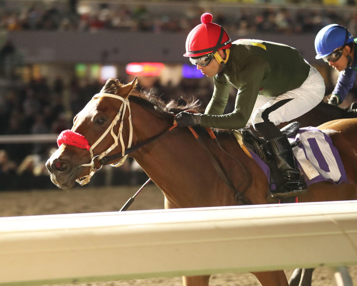 Harry Hernandez Pilots Four Winners On Minnesota Festival of Champions ...