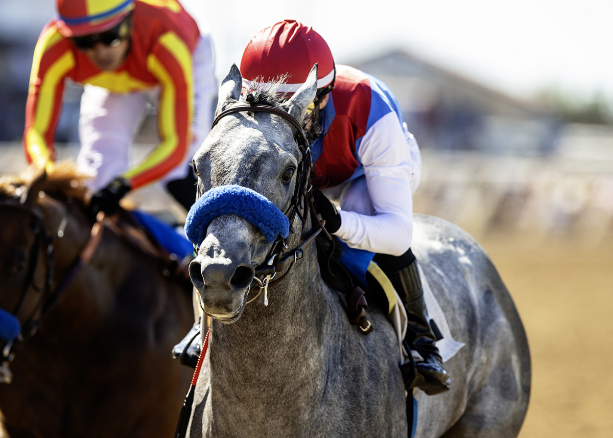 Brant Scores Front-Running Del Mar Futurity Win - Paulick Report ...