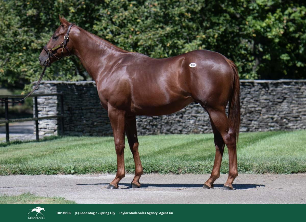 'He Had All The Parts': Taylor, Castleton Way Partnership Hit Big With ...