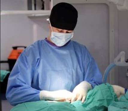 Terminal Labs: Controversial Veterinary Teaching Method Ebbs - Paulick ...