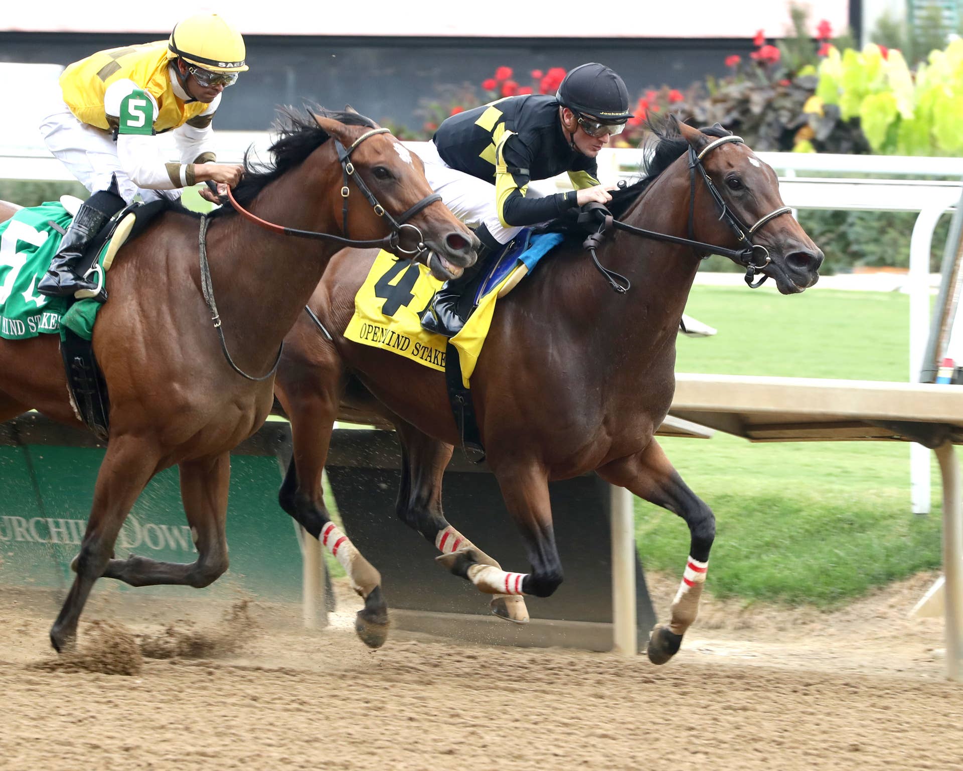 Positano Sunset Returns Off Layoff To Land Open Mind - Paulick Report ...