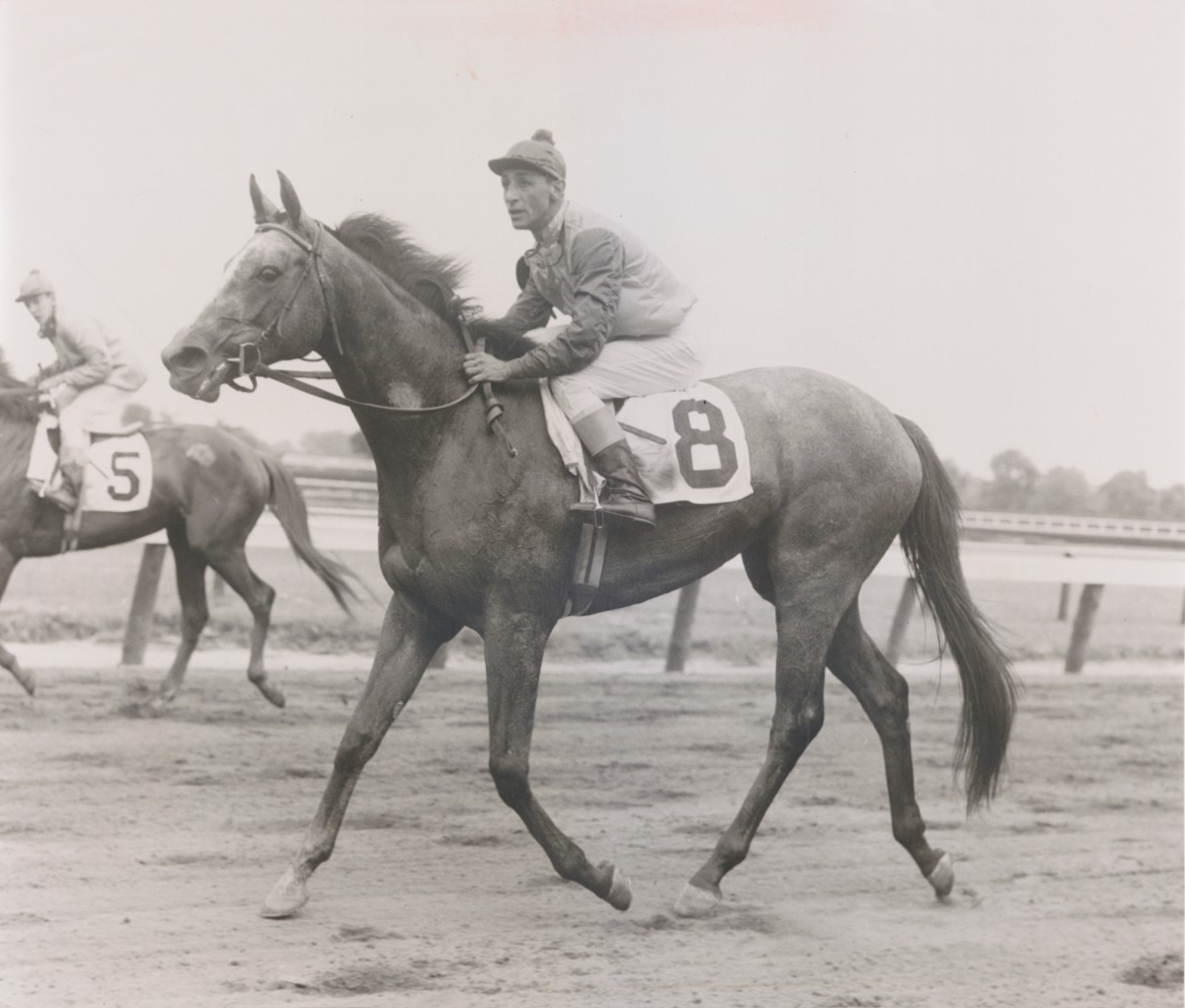 Lest We Forget: High Voltage Possessed An Electric Turn Of Foot ...