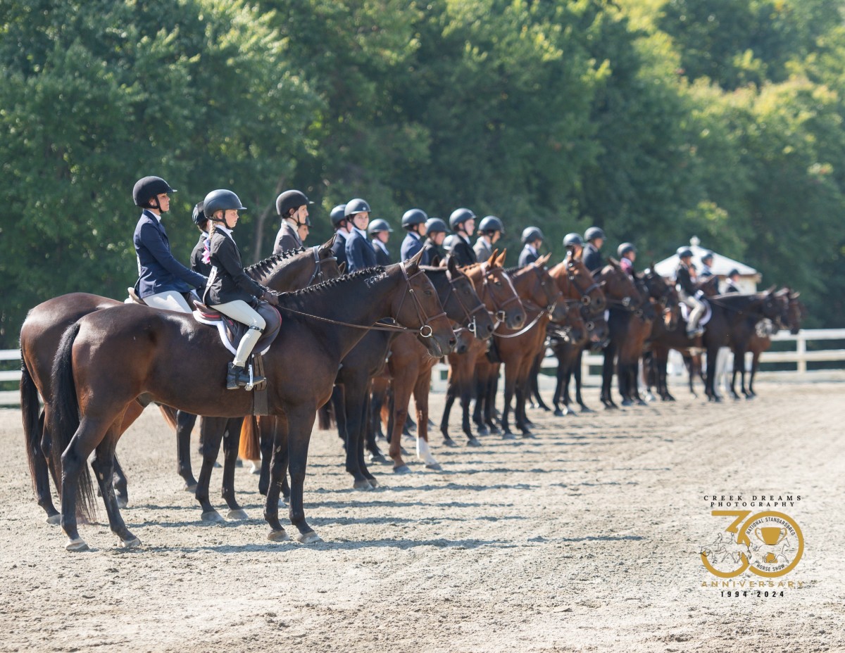 National Standardbred Horse Show Crowns 2025 Off-Track Champions ...