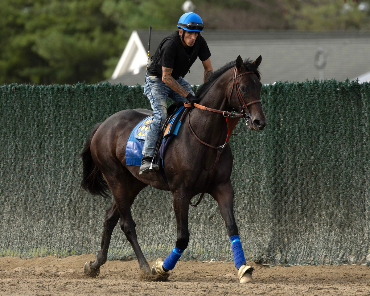 Goal Oriented Leads 1-2 Bob Baffert Malibu Finish Despite Scratch Of ...