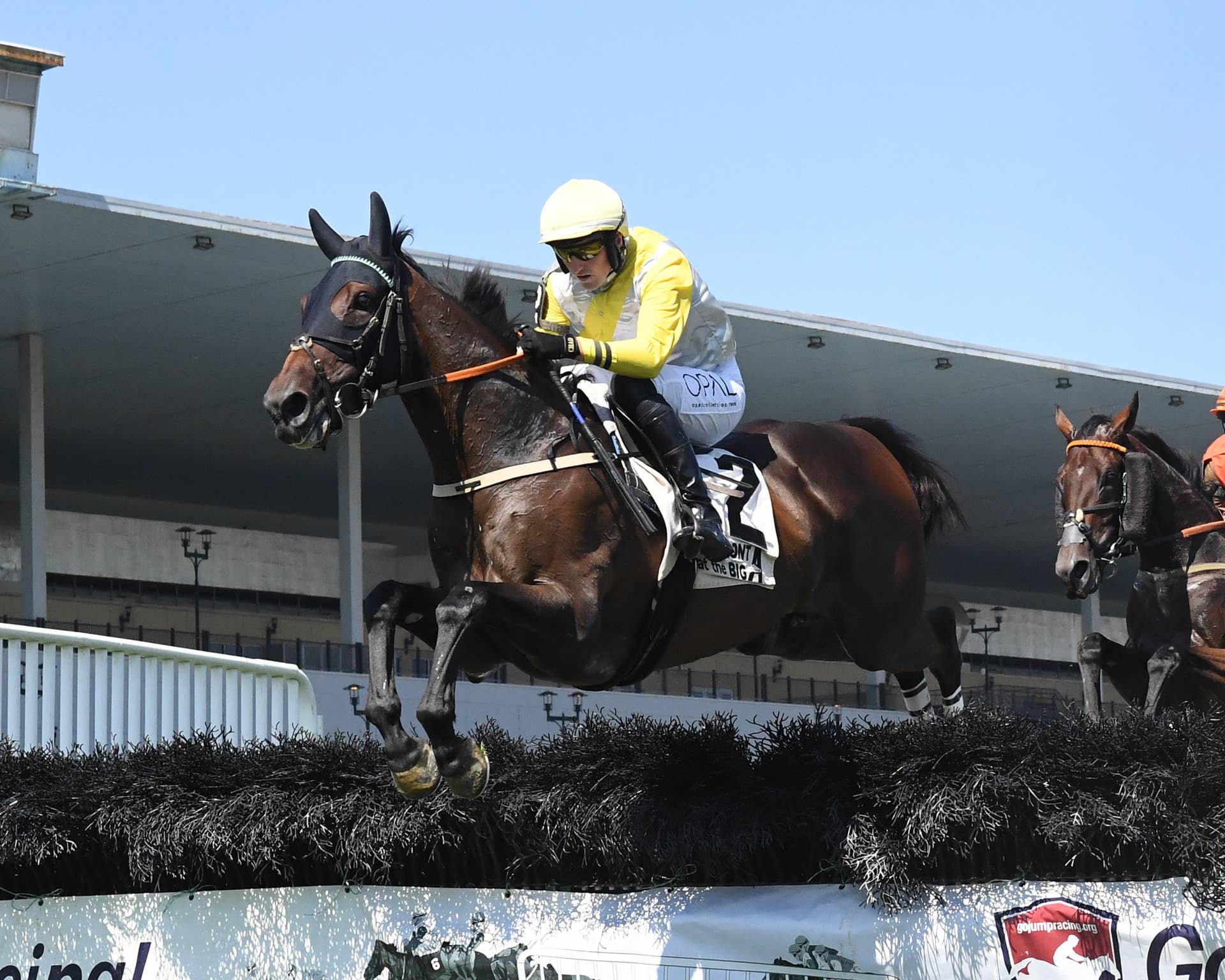 ‘Kept Finding More’: Swore Wins Lonesome Glory Handicap In Hurdle ...