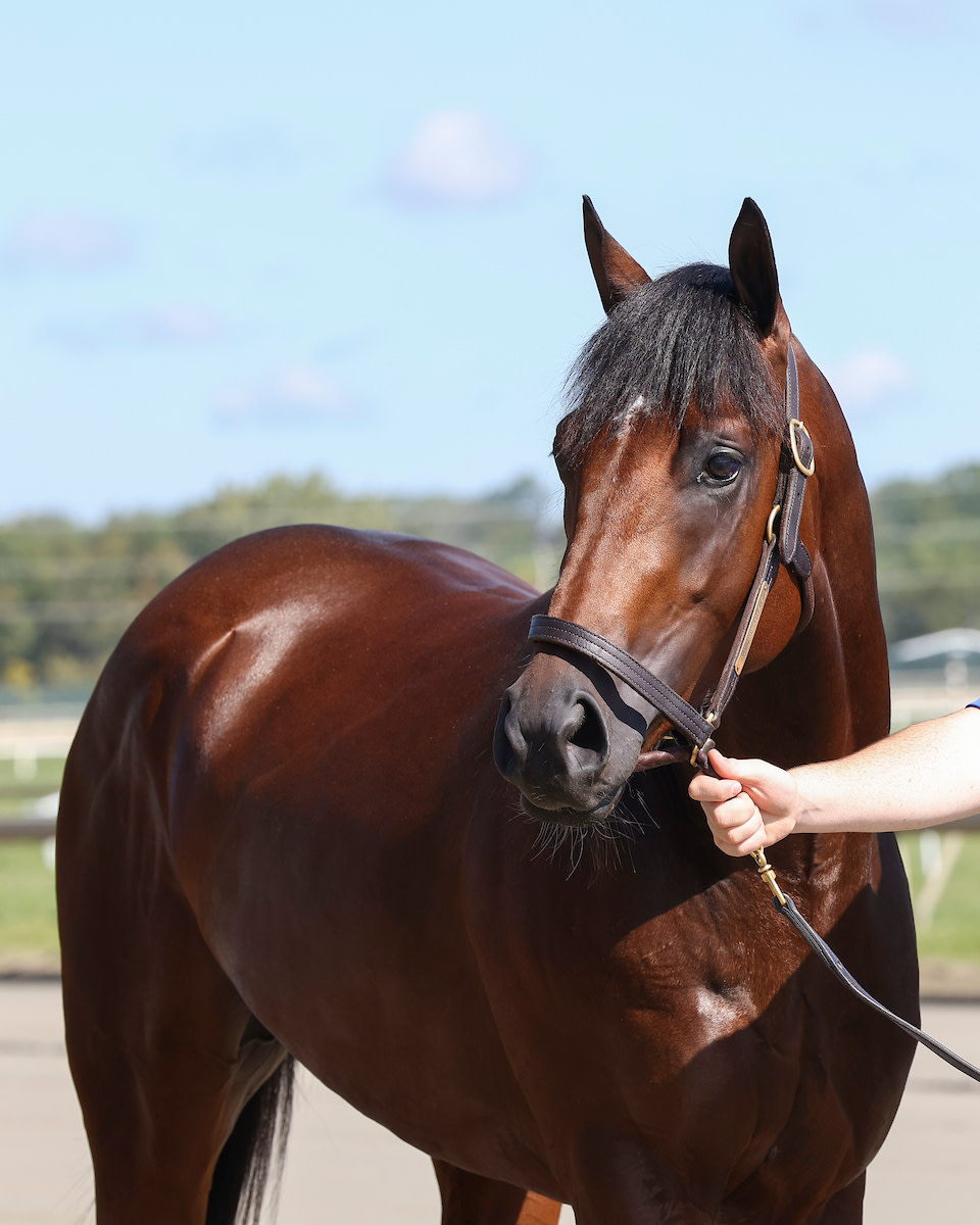 'Naturally Fast' David Of Athens Takes Big Step Up In Pennsylvania ...