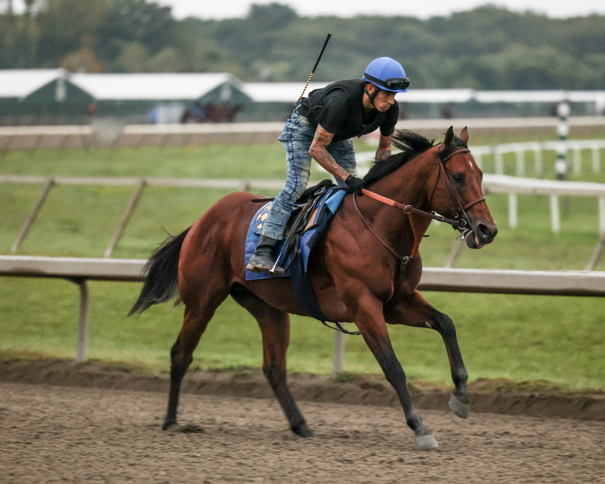 Barnes Continues Comeback In Gallant Bob - Paulick Report | Latest news ...