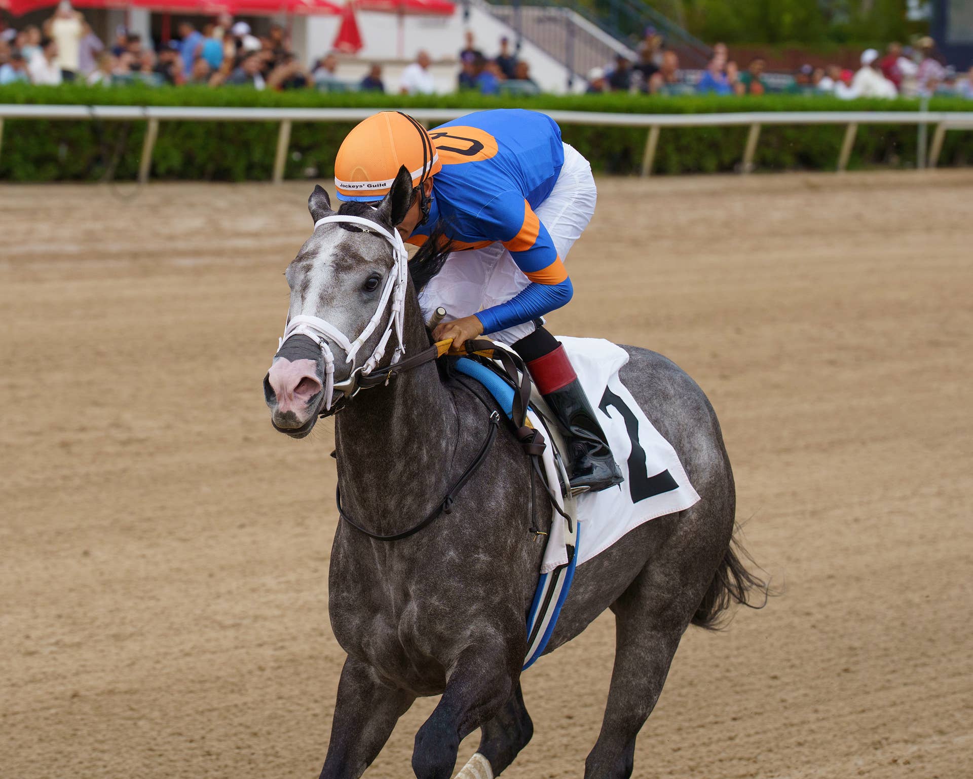 Haulin Ice Surpasses Nodouble As Leading Arkansas-Bred Earner - Paulick ...