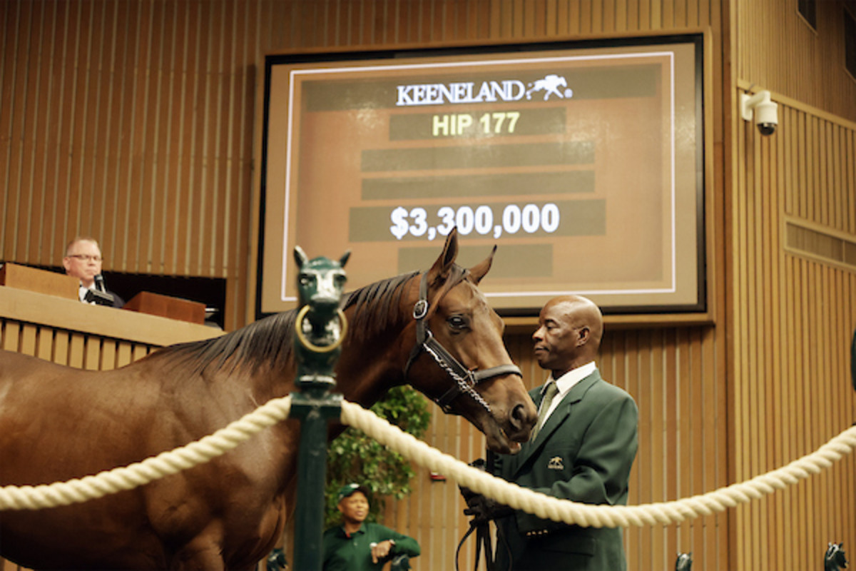 Keeneland September Concludes With Record $531.5 Million In Sales ...