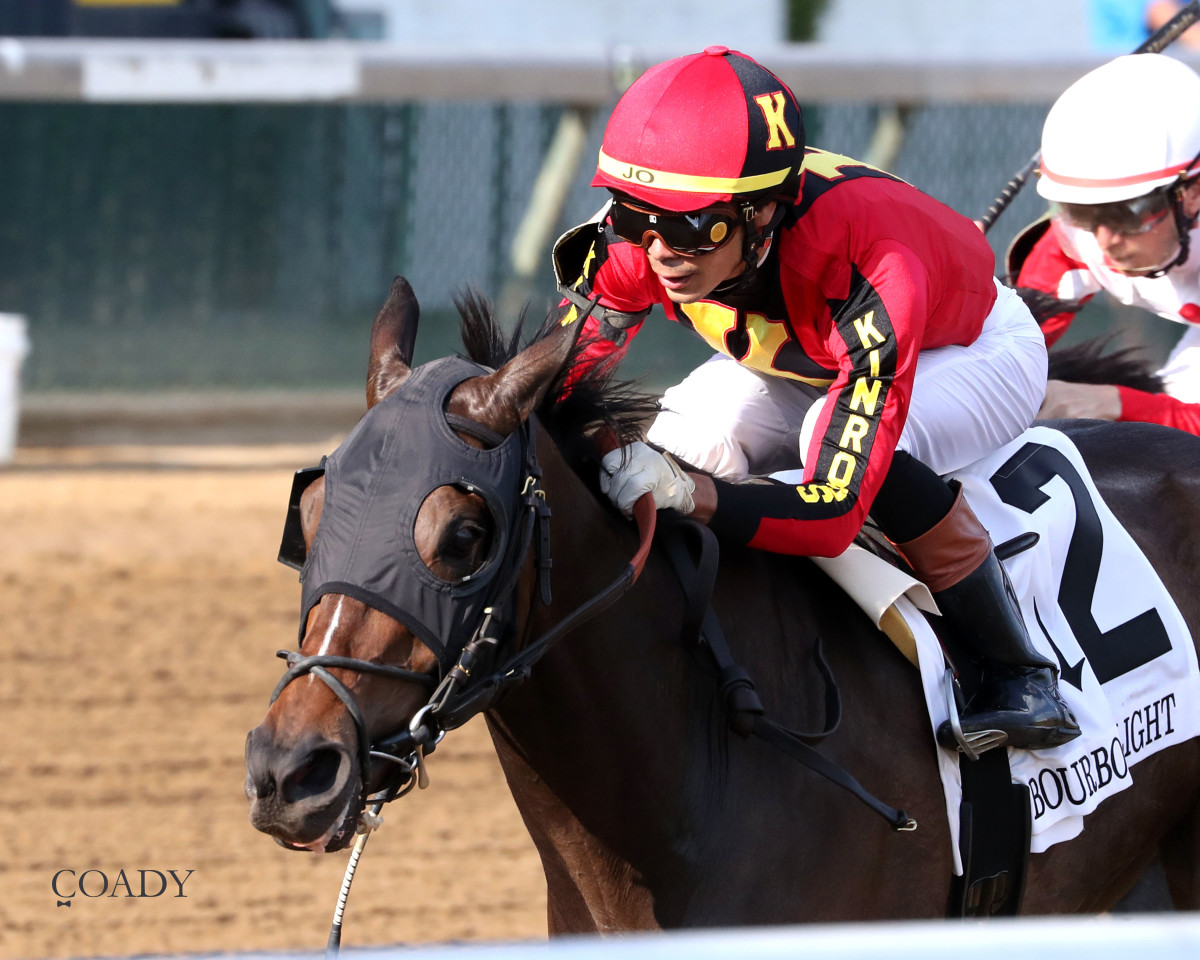 Zia Park Derby Winner Brotha Keny Leads Record-Sized Inglis Digital USA December Sale - Paulick ...