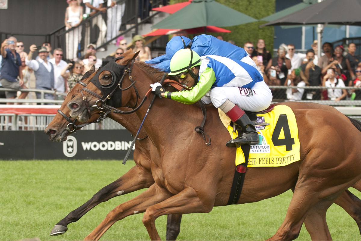 Cherie DeVaux Sending Three To Breeders’ Cup - Paulick Report | Latest ...