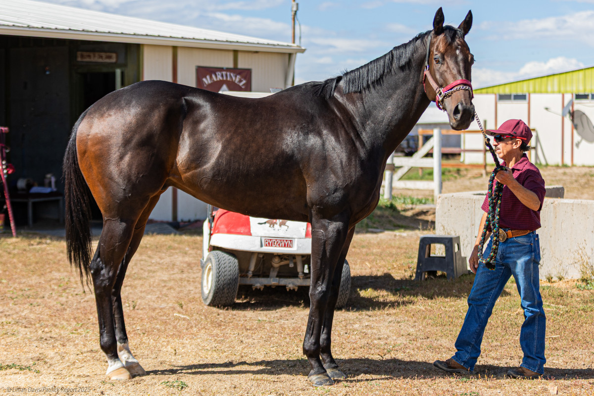 ‘Colorado King’: Record-Setting Collusionist ‘A Point Of Pride’ At ...
