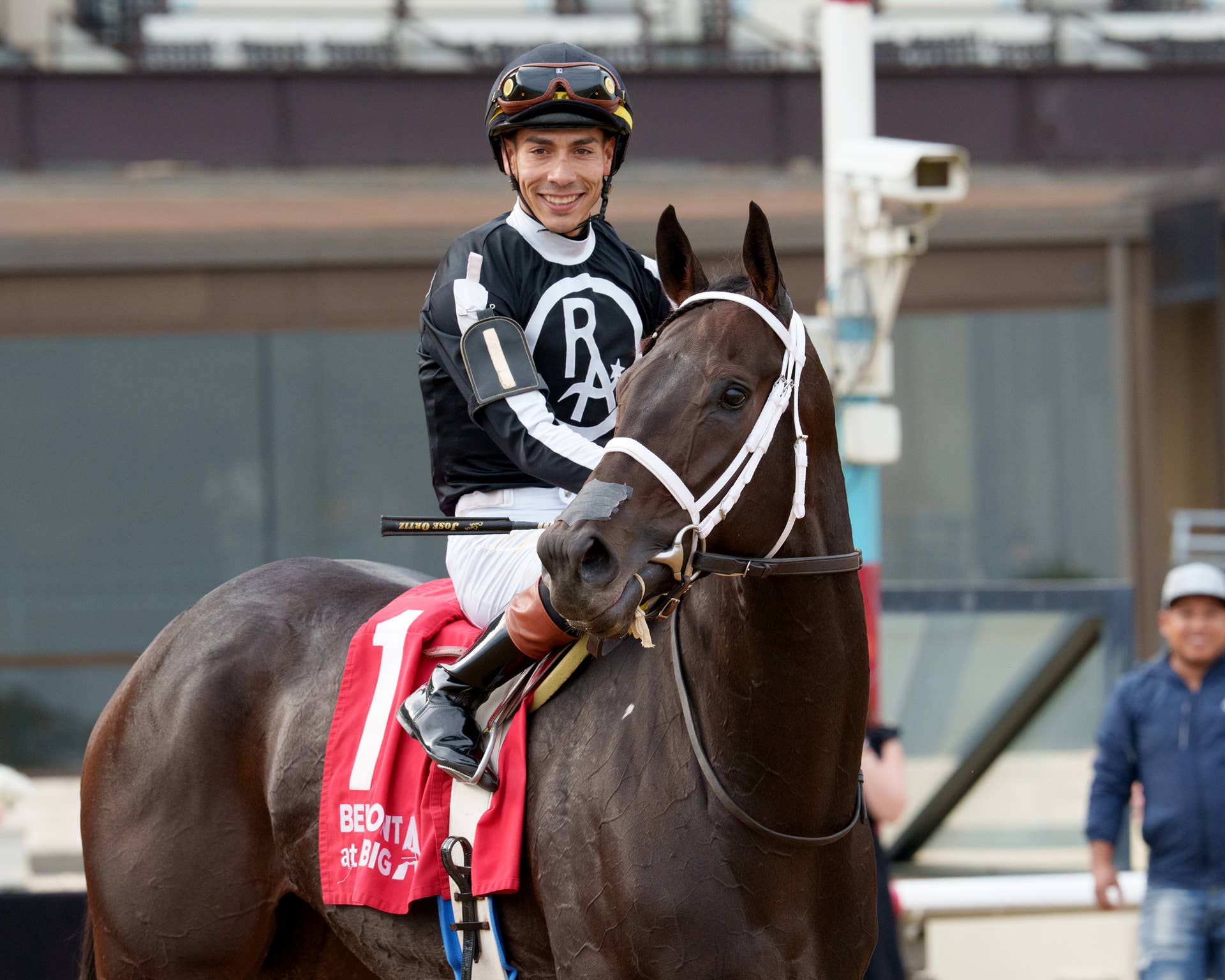 Florida-Bred R Disaster Earns First Graded Victory In Gallant Bloom ...