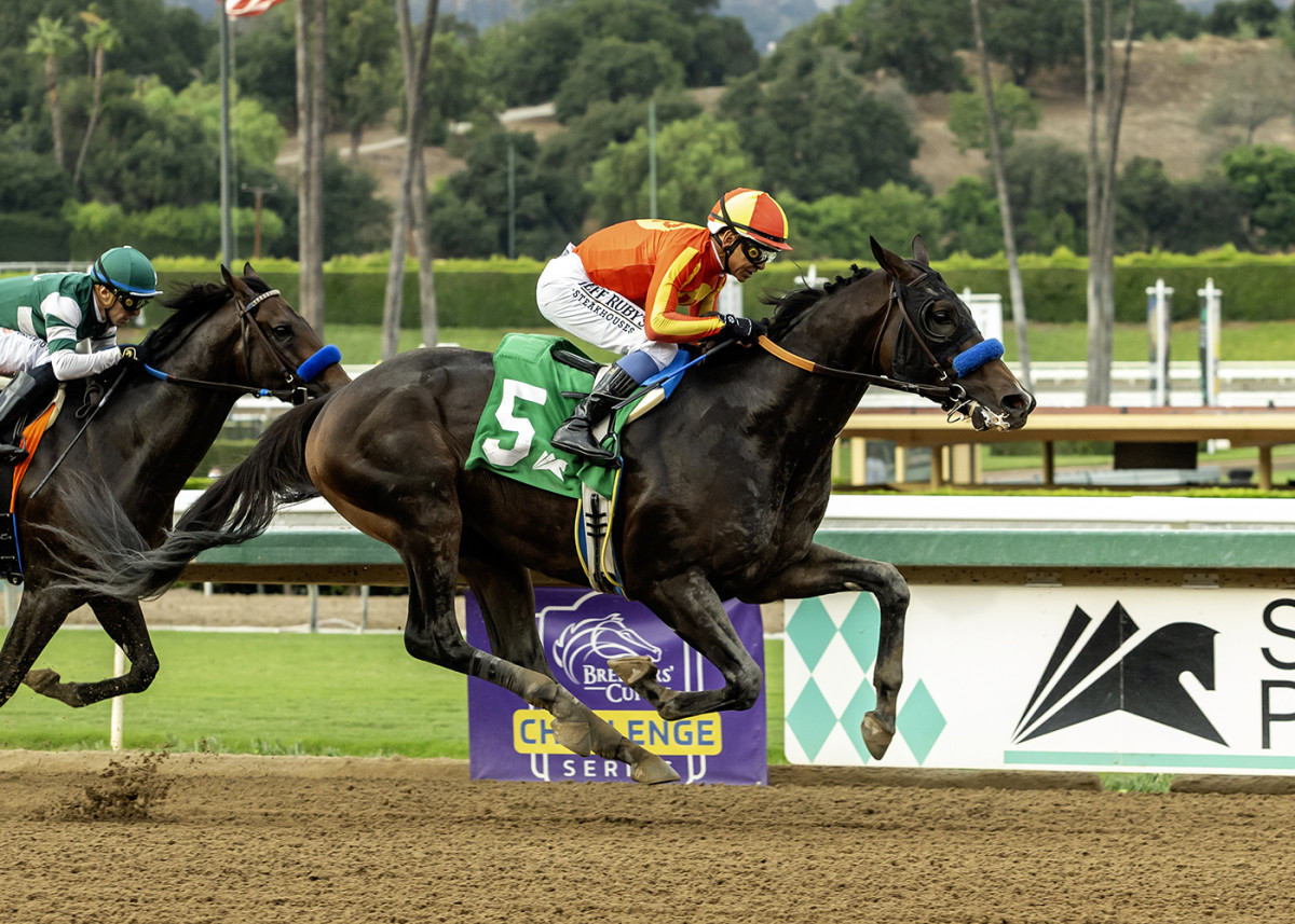 Bloodlines Presented By Walmac Farm: Nevada Beach And The Spendthrift ...