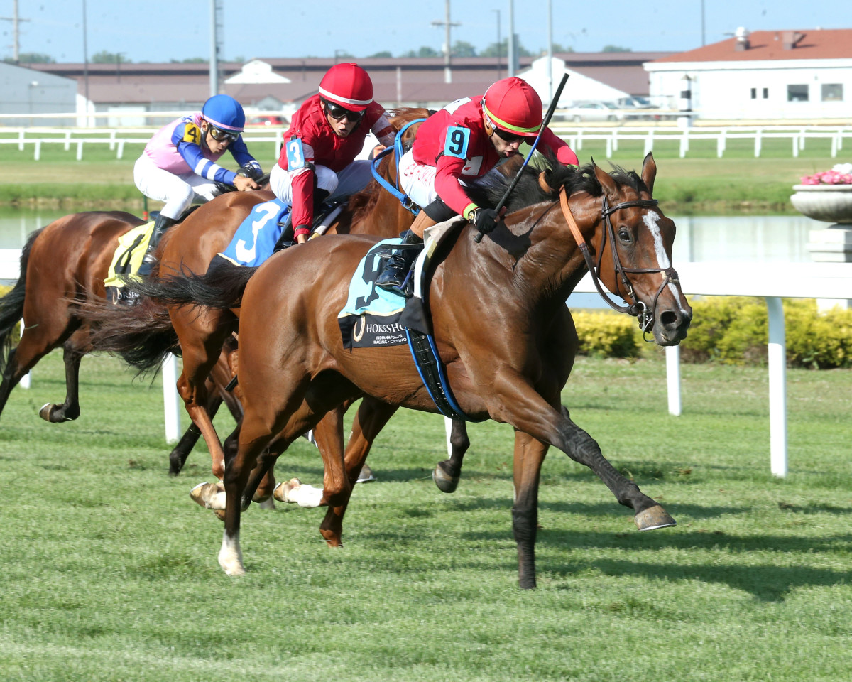 'Everybody Likes Him': Graded Winner, Claiming Horse Of The Year ...