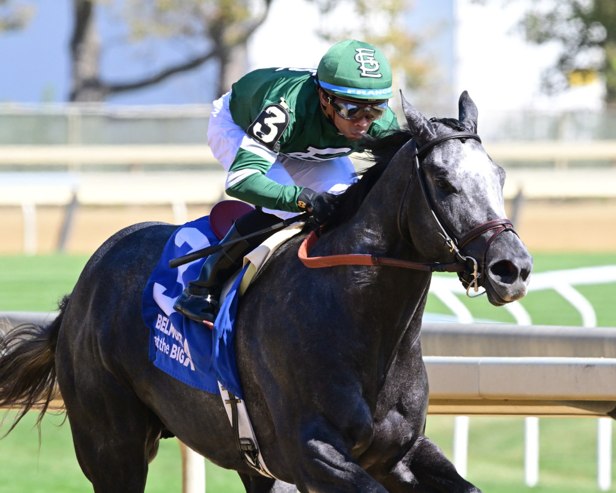 Rated By Merit Launches Comeback With Discovery Romp - Paulick Report ...