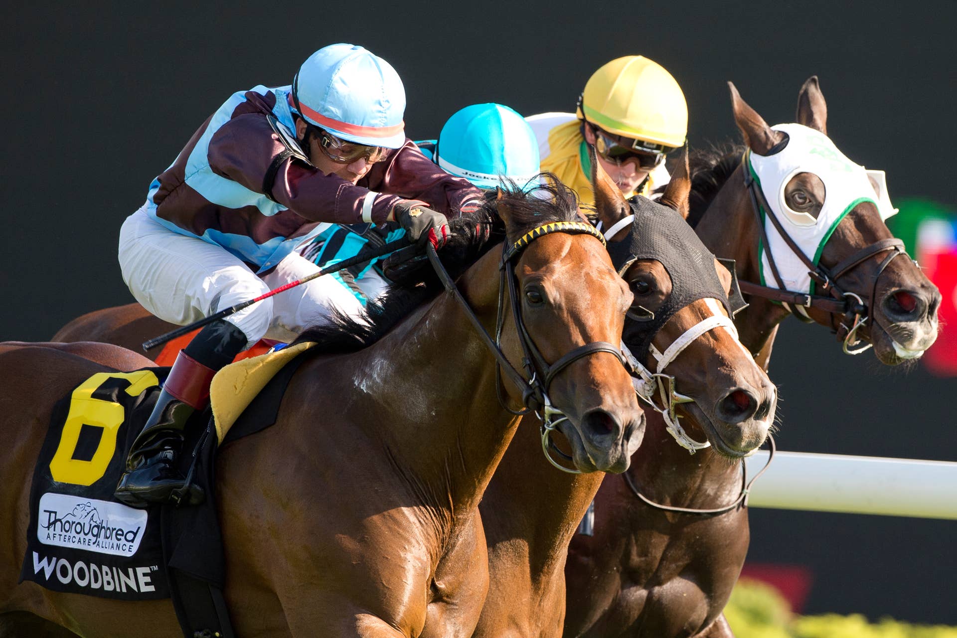 No Nay Hudson Strikes For First Stakes Victory In Woodbine's Nearctic ...