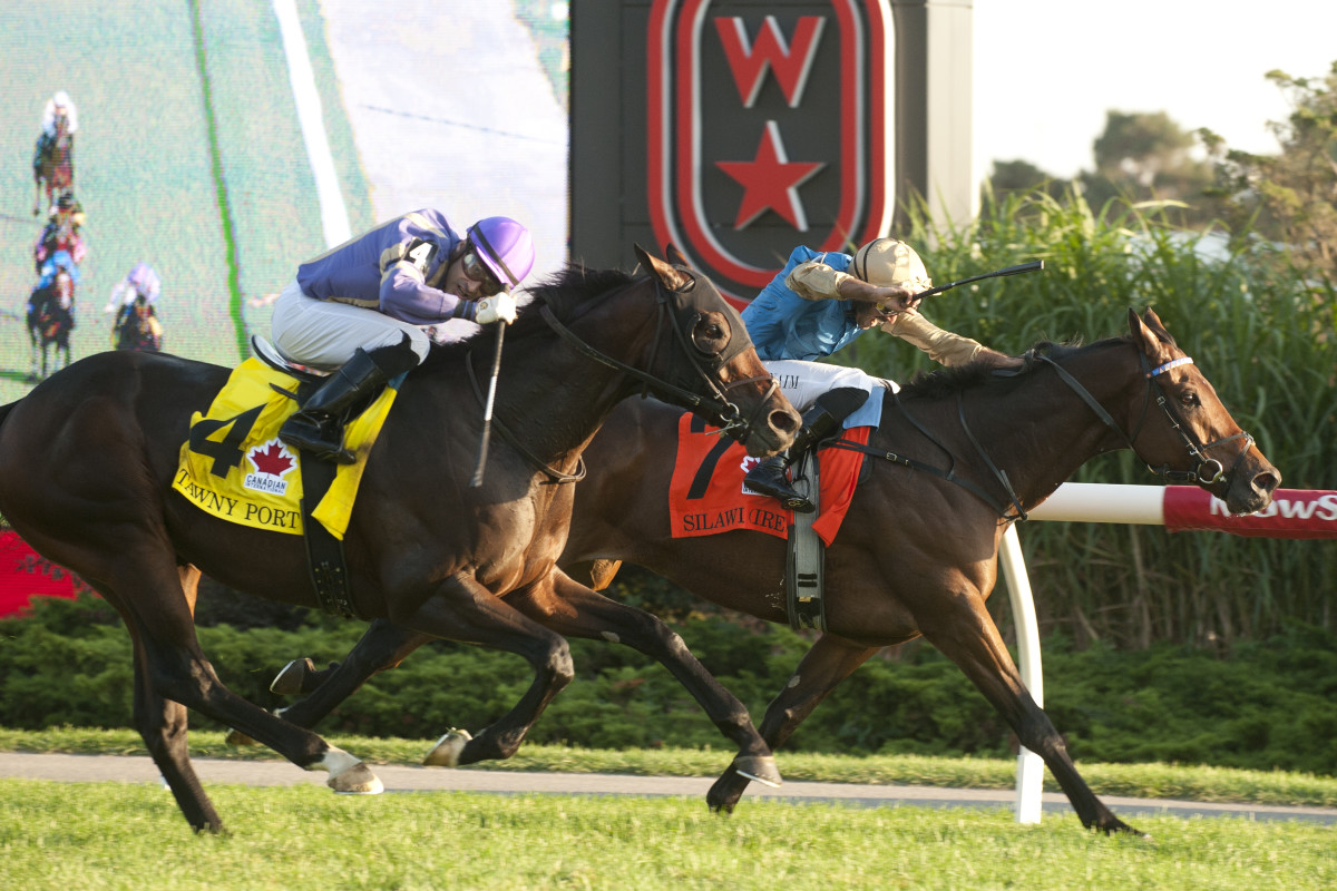 Silawi Makes All The Running In Canadian International Thriller ...