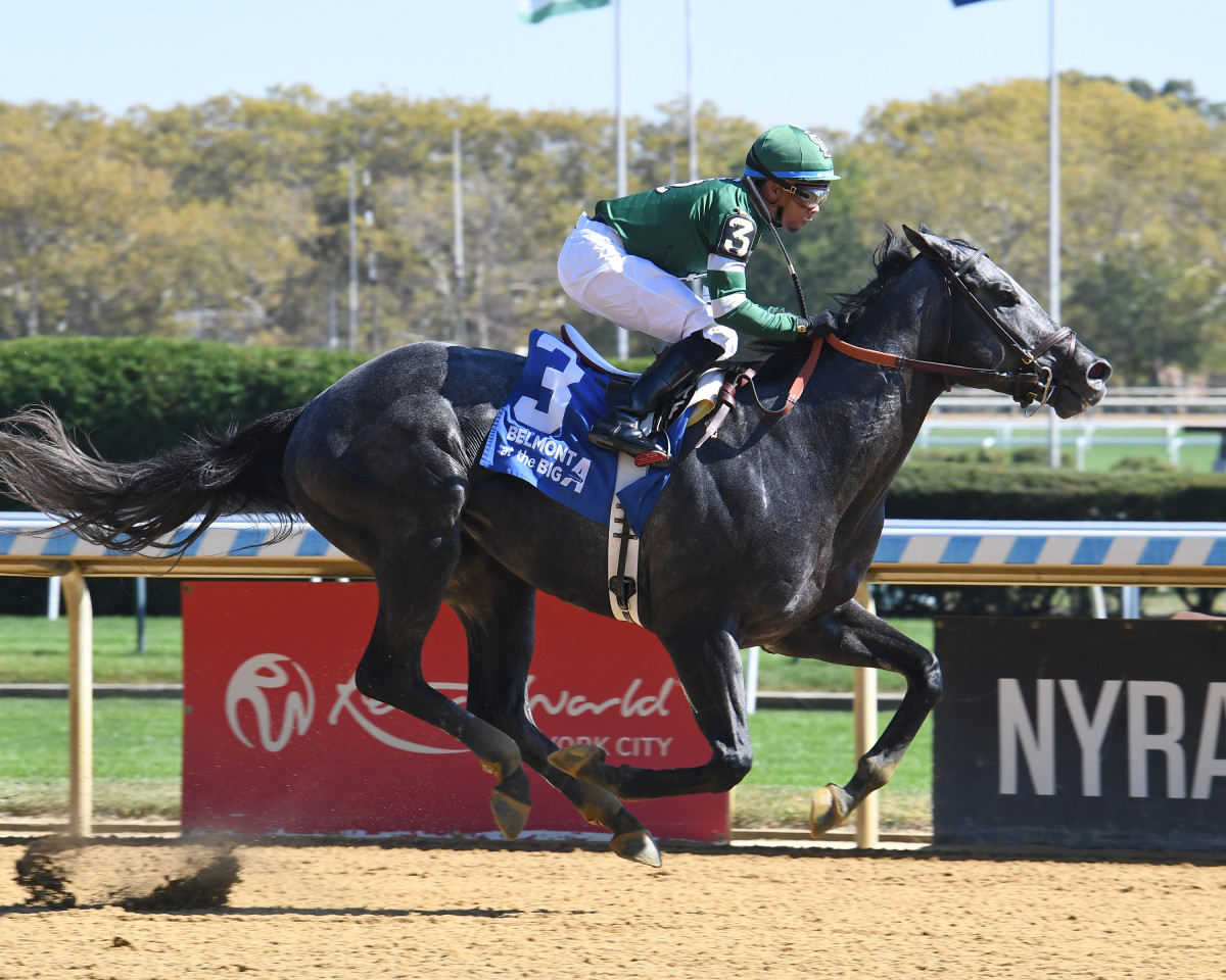 Chad Brown Pencils In Cigar Mile For Rated By Merit, Hollywood Derby ...