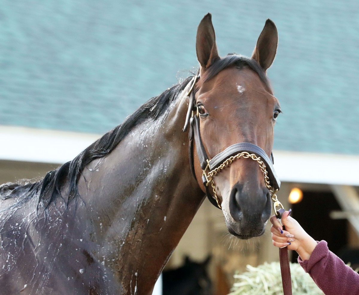 Trainer Kenny McPeek ‘Contemplating Next Steps’ For Thorpedo Anna After ...