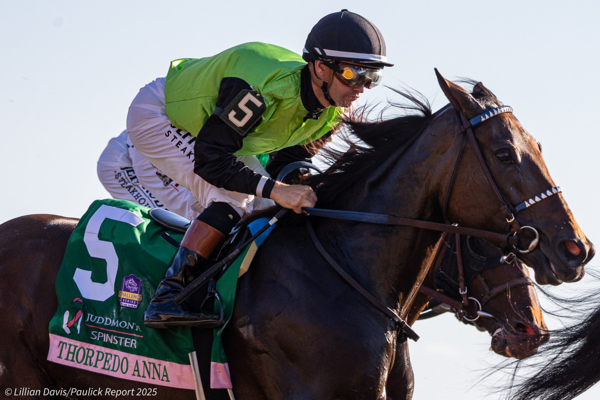 Trainer McPeek Says Thorpedo Anna's Spinster 'Was Probably Her Last ...