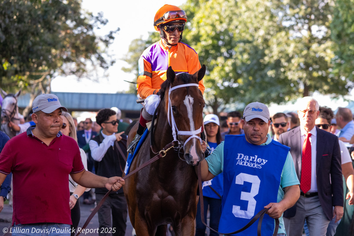 Jockey Of The Week: John Velazquez Wins Four Stakes At Keeneland Fall ...