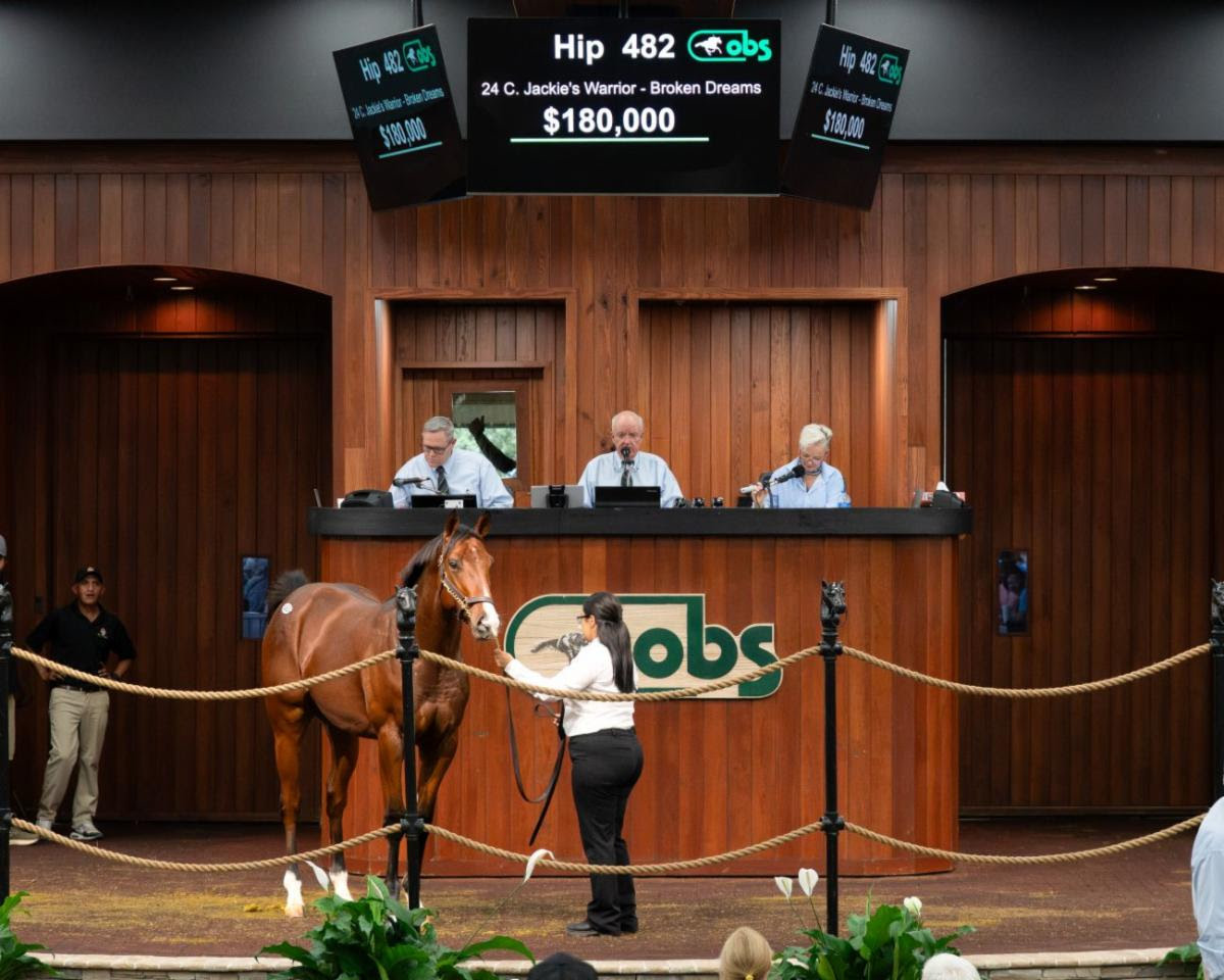 Jackie's Warrior Colt Highlights Final Session Of OBS October Yearling ...