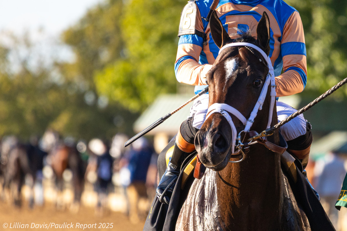 Final Score To Miss Breeders’ Cup Juvenile Turf With ‘Sore Shins ...