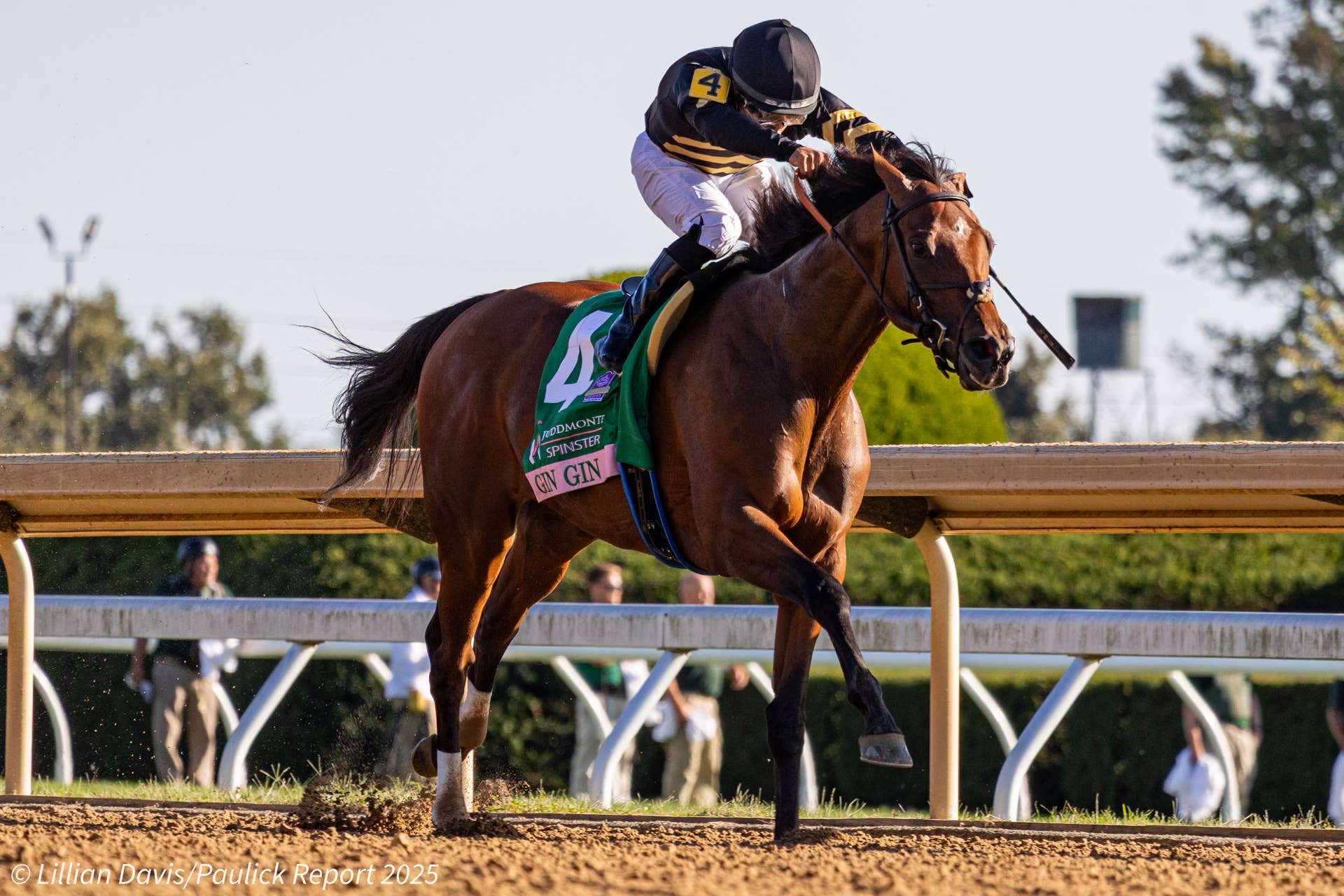 ‘Very Good’: Gin Gin, Shisospicy Work At Keeneland - Paulick Report ...